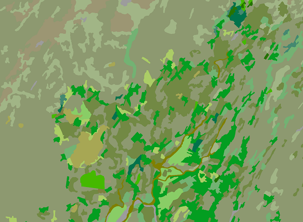 Um Ískort | Ískort